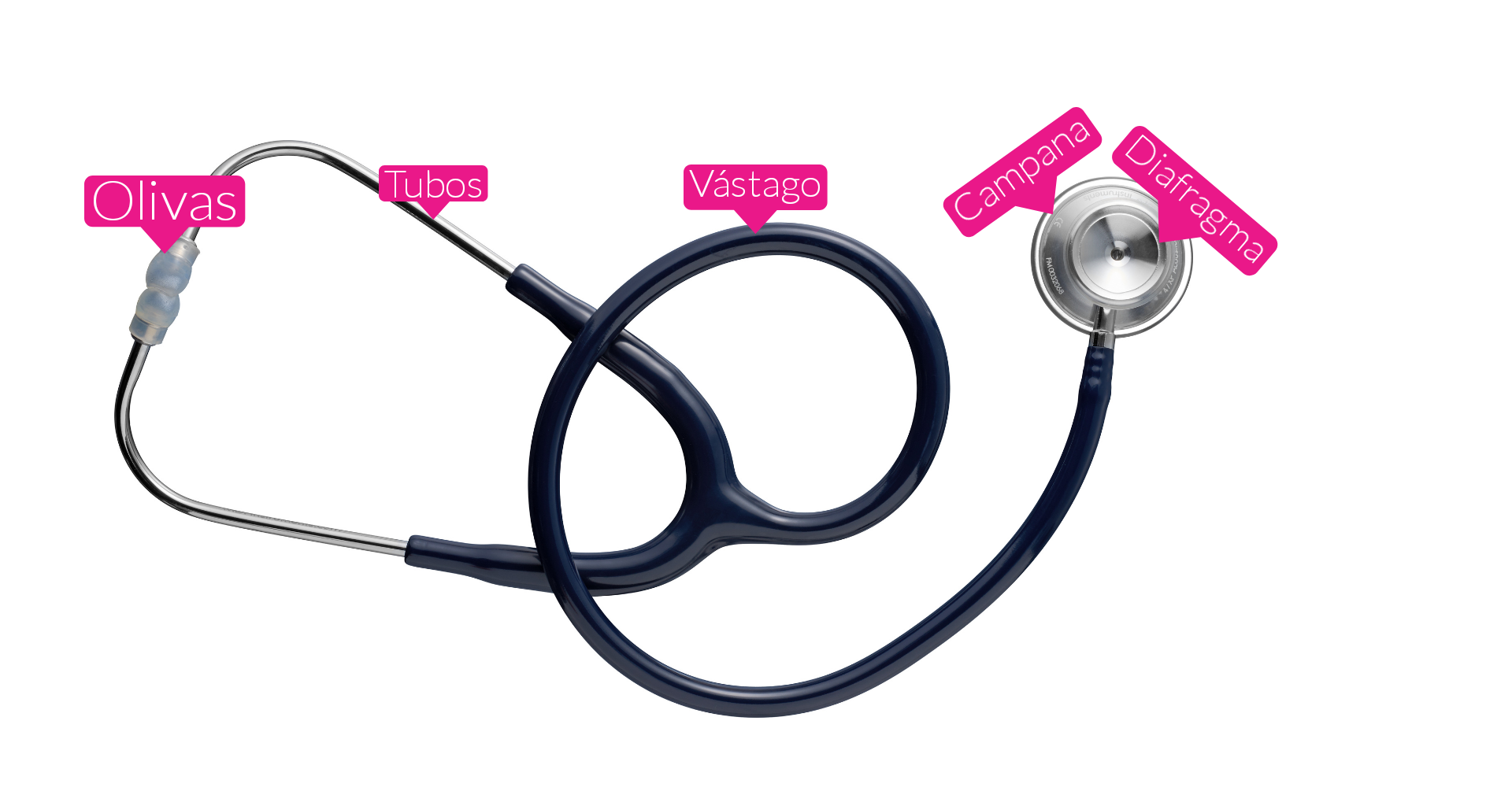Partes Del Fonendoscopio Tienda Médica Del Valle